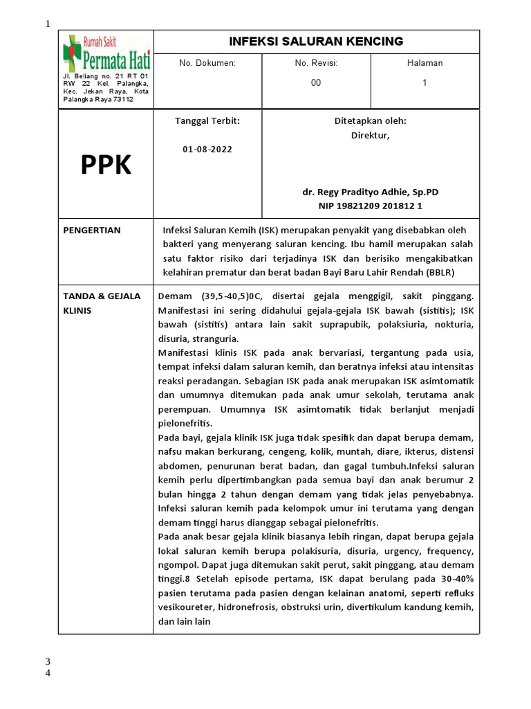 Panduan Infeksi Saluran Kencing | PDF