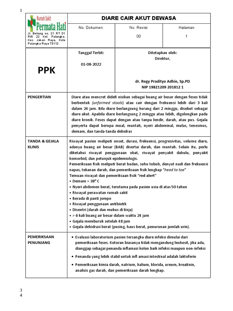 PPK Diare Dewasa | PDF