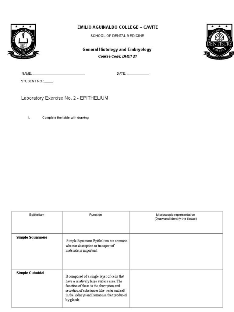 Lab Exercise No. 2 | Download Free PDF | Epithelium | Morphology (Biology)