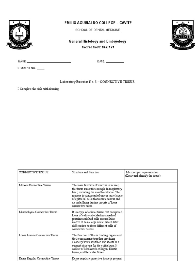 Lab Exercise No. 3 | Download Free PDF | Connective Tissue | Tissue (Biology)