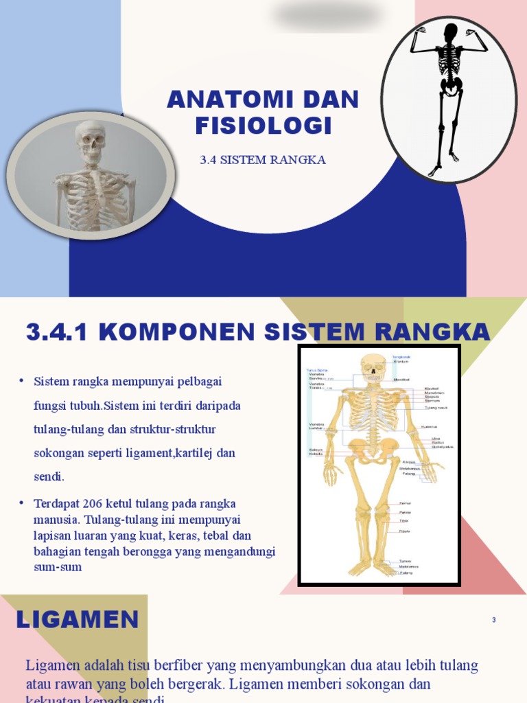 Sains Sukan With Mijan Presentation (Sistem Rangka) | PDF