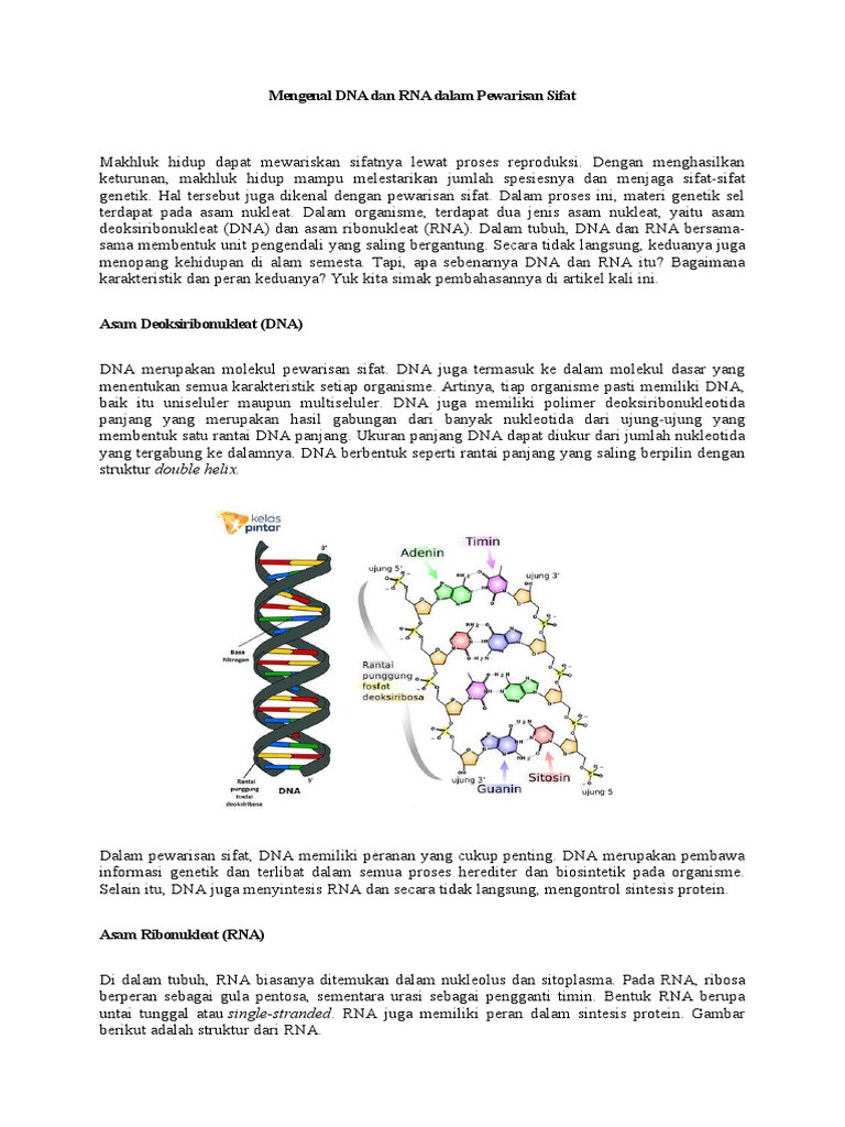 Mengenal DNA Dan RNA Dalam Pewarisan Sifat | PDF