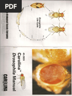 DIN 3971 1980-07 Bevel Gear Parameters | PDF | Gear | Geometry