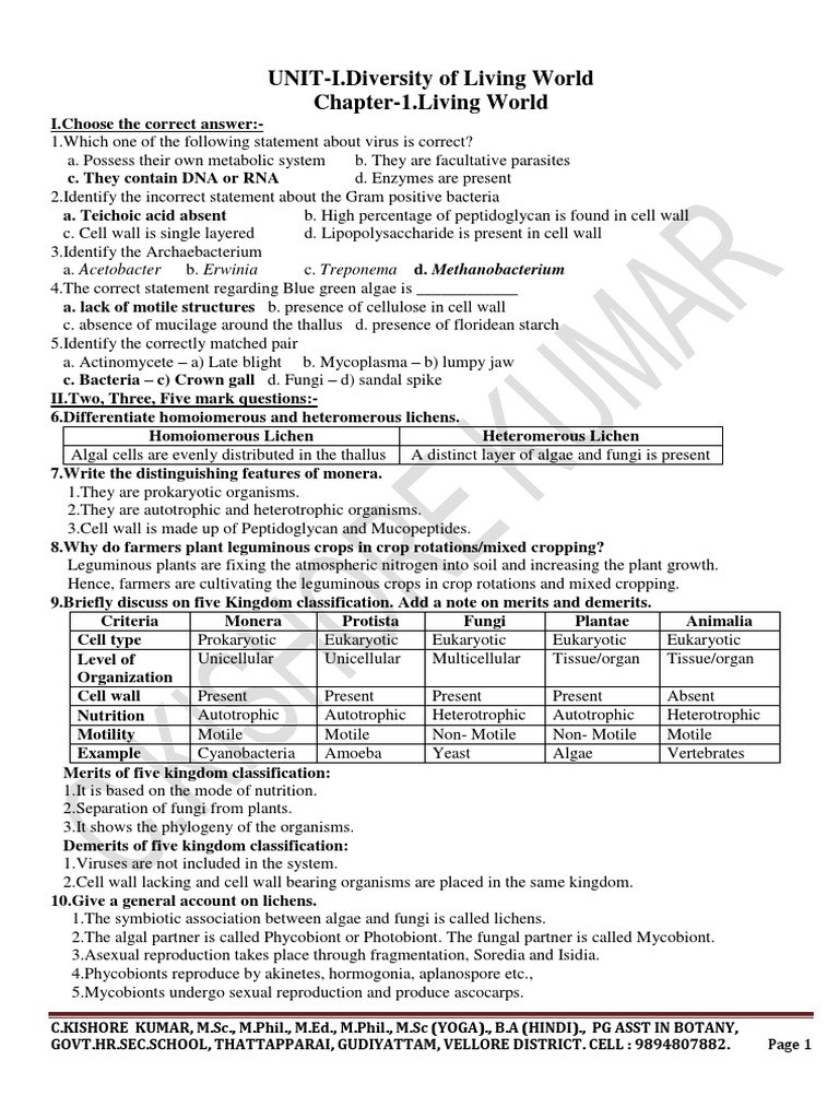 11th Standard Botany Guide | PDF | Meiosis | Fruit