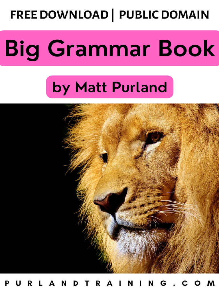 Big Grammar Book (Purland Training) | PDF | English Language | Perfect ...