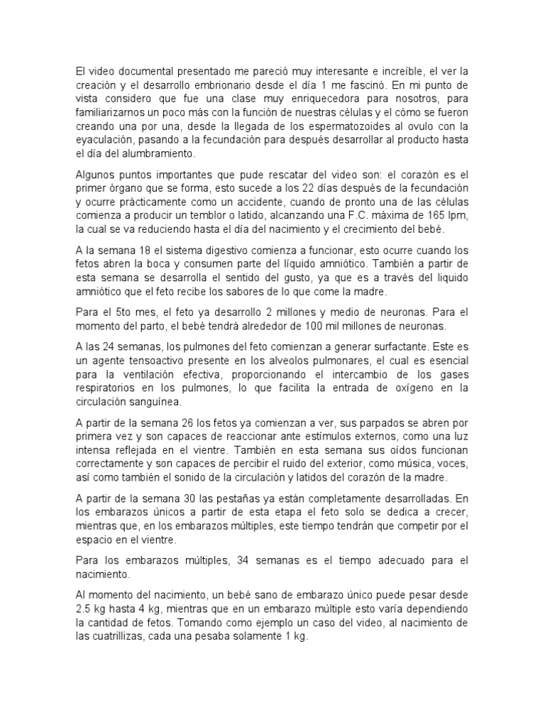 Foro 3 en El Vientre Materno | PDF | El embarazo | Feto