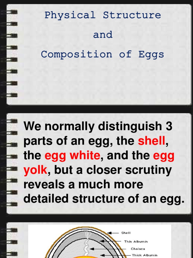 Structure and Composition of Eggs | PDF | Yolk | Egg White