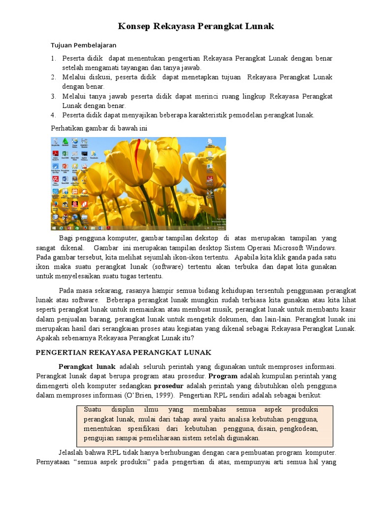 Konsep Dasar Rekayasa Perangkat Lunak | PDF