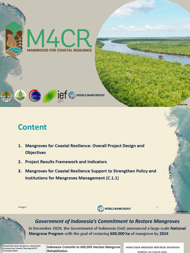 Webinar Mangroves Indonesia Ppt 25072022 Kickoffpokjamangroves