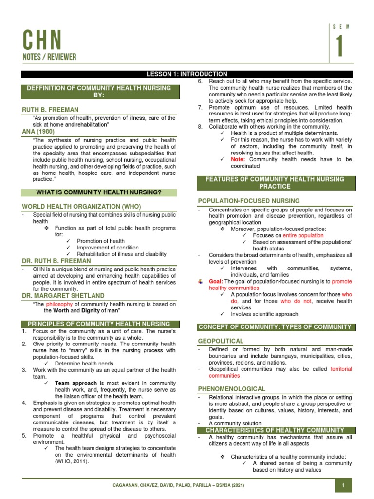 CHN 2 Prelim Exam: Community Health Nursing | PDF