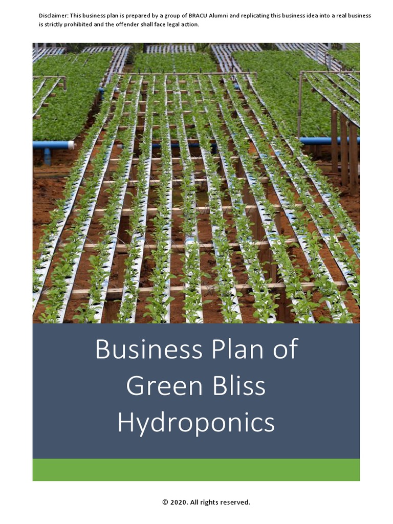 Business Plan of Green Bliss Hydroponics | PDF | Hydroponics | Net Present Value
