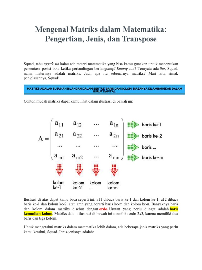 Materi Matriks Kelas XI | PDF