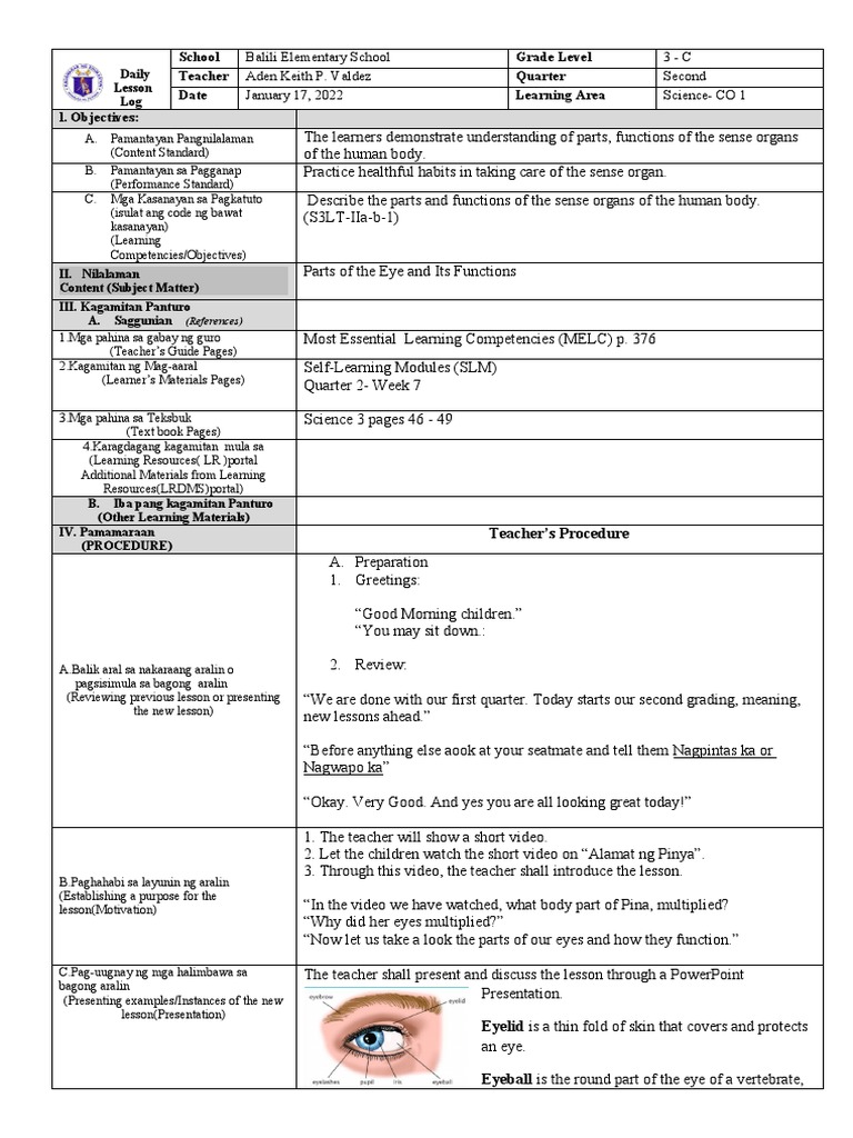 Parts of TheEyes | PDF | Eye | Human Eye