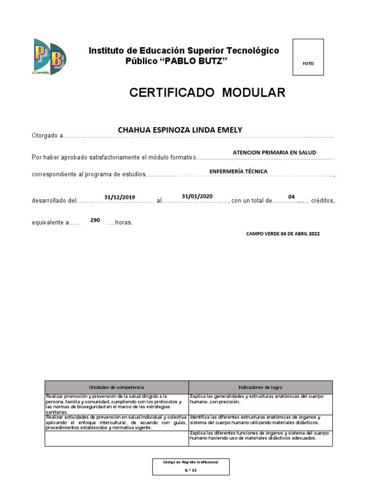 Certificado Modular Emily Chahua | PDF | Enfermería | Cuidado de la salud