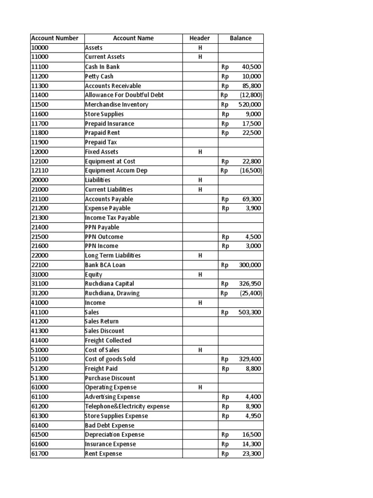 Financial Statement Showing Account Types and Balances for Ruchdiana Capital | PDF | Expense ...