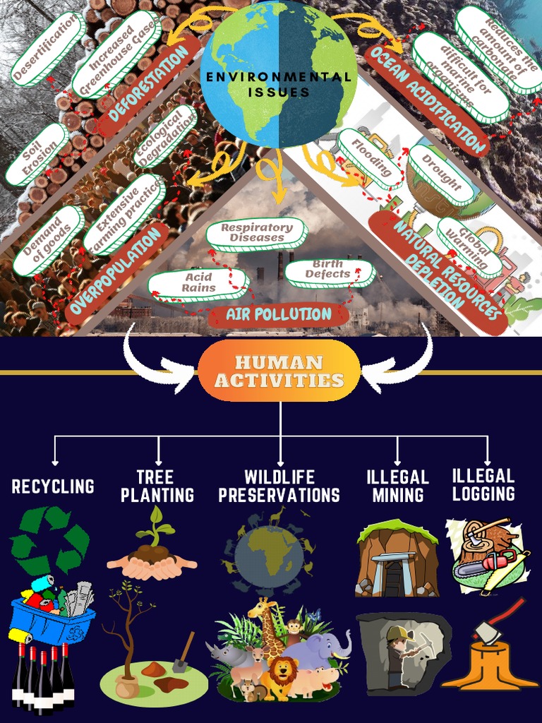 Mind Map | PDF | Pollution | Environmental Issues