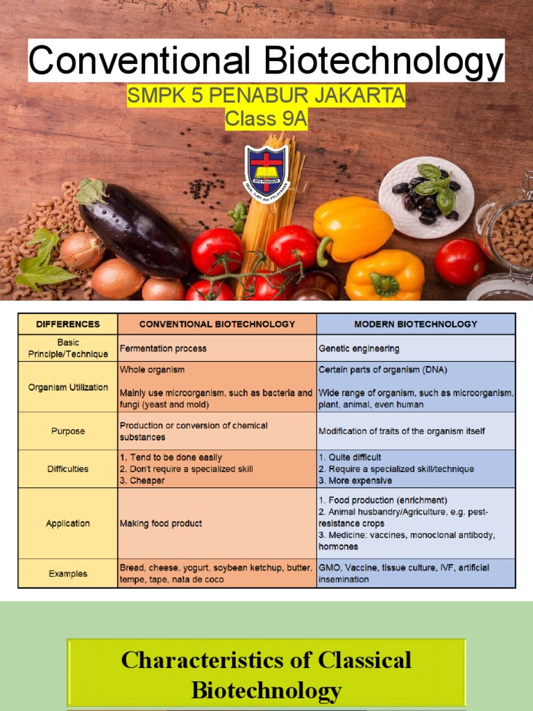 Conventional Biotechnology | PDF | Fermentation | Lactic Acid