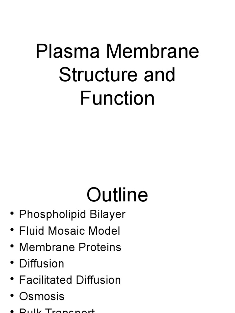 Cell Membrane And Active Transport Pdf Cell Membrane Osmosis