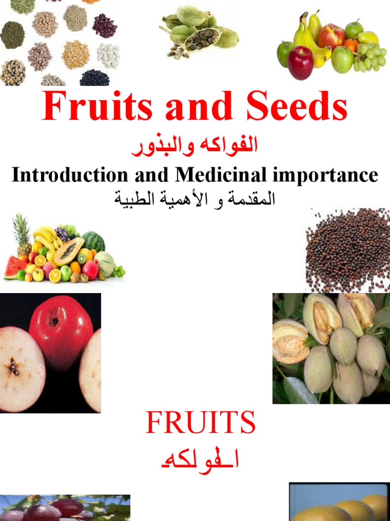 Chapter 3 Fruits and Seeds 2022 | PDF