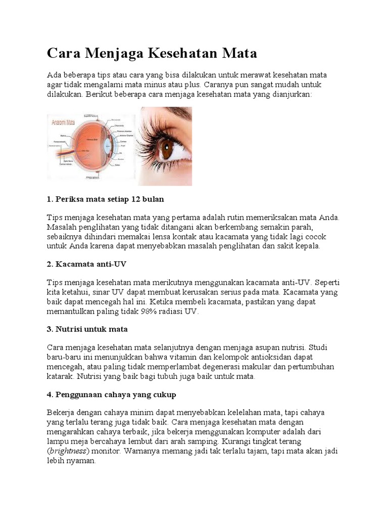 Cara Menjaga Kesehatan Mata | PDF