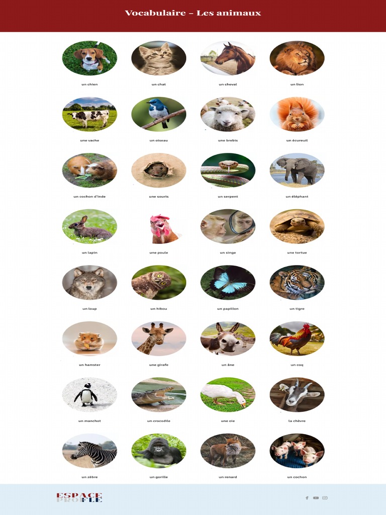 Vocabulaire - Les Animaux | PDF