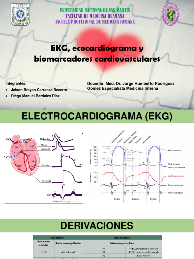 EKG y Ecocardio | PDF