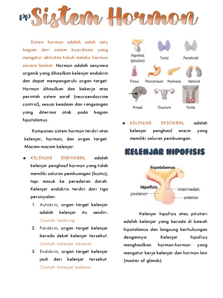Sistem Hormon Manusia | PDF | Kesehatan Holistik