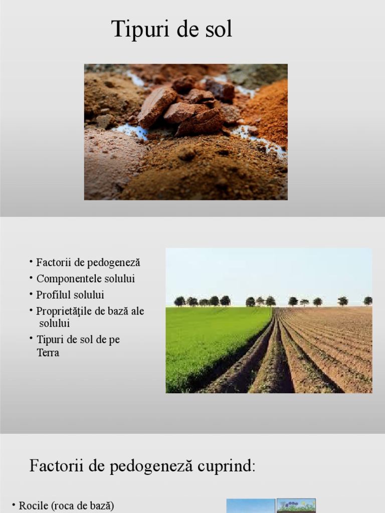 Tipurile de Sol | PDF