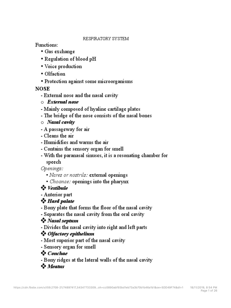 Handout Finals Anaphy | PDF | Kidney | Lung