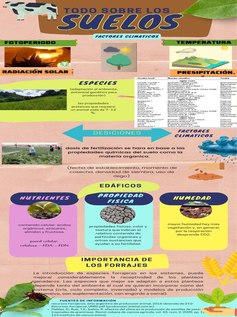 Infografia-Bromatologia Tipos de Suelo | PDF | Suelo | Naturaleza