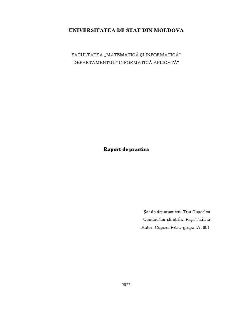 Raport de Practica | PDF