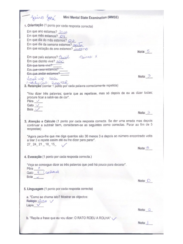 Mini Mental State Examination (MMSE) | PDF