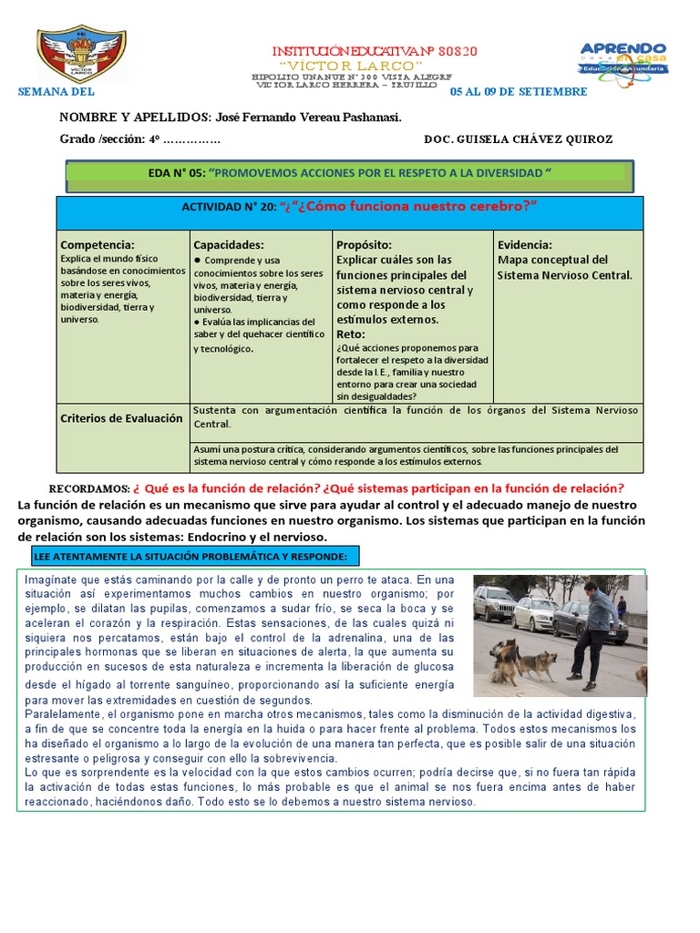 ACTIVIDAD #20 CyT - 4° - TRABAJO DE JOSE VEREAU CTA - Docx - COMO FUNCIONA NUESTRO CEREBRO ...