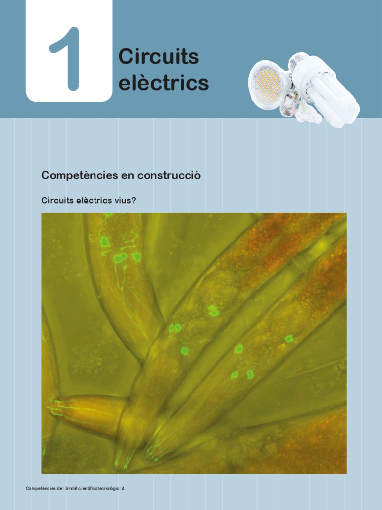 El Circuit Elèctric | PDF