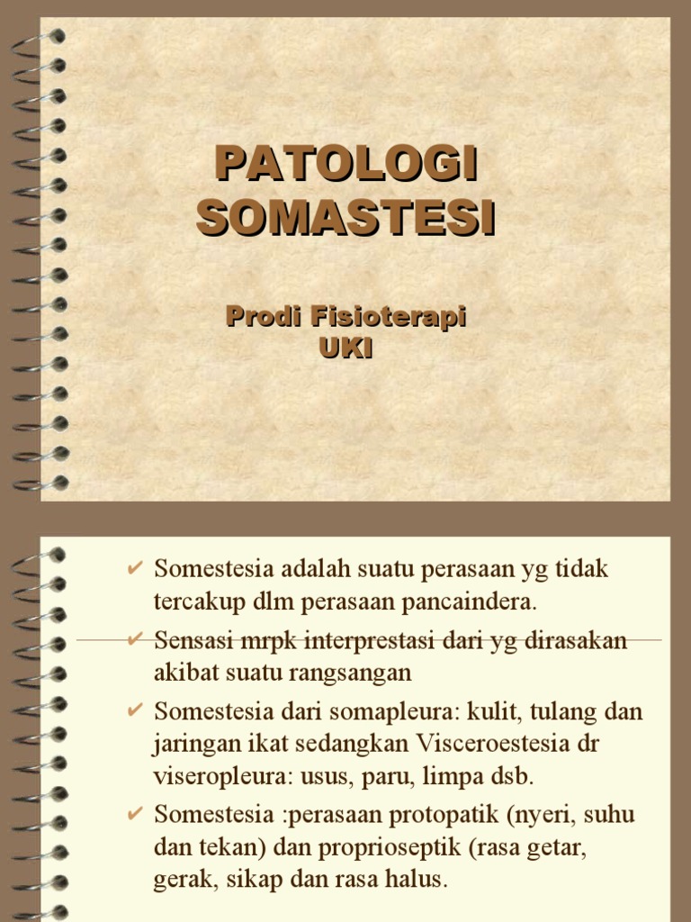 Somestesia Dan Patologi Ke-3 Neuro | PDF | Sains & Matematika