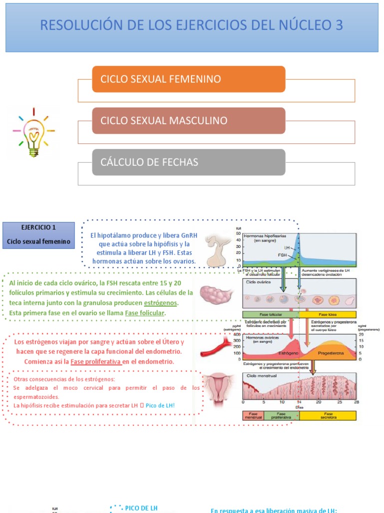 Resolución Ejercicios Presenciales | PDF | Hormona luteinizante | Ovario