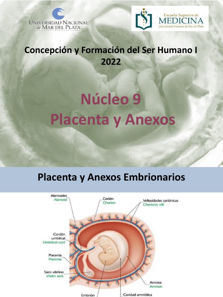 N9 Placenta y Anexos 2022 | PDF | Placenta | El embarazo