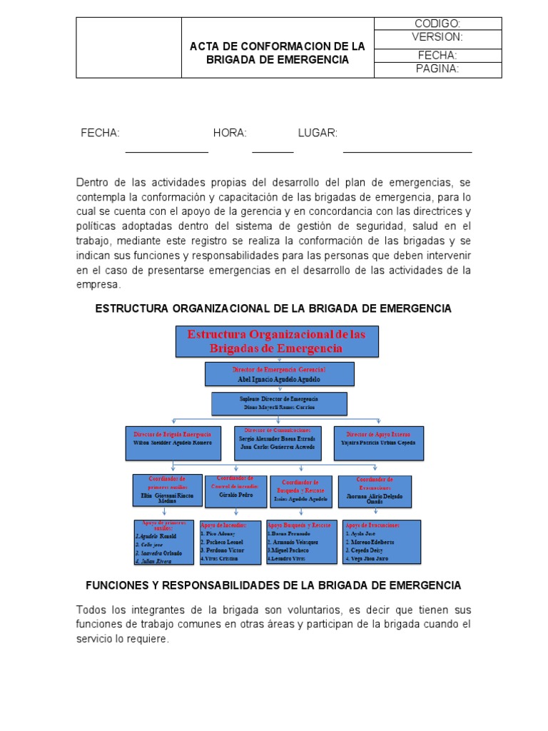 Conformación de Brigadas | PDF | Primeros auxilios
