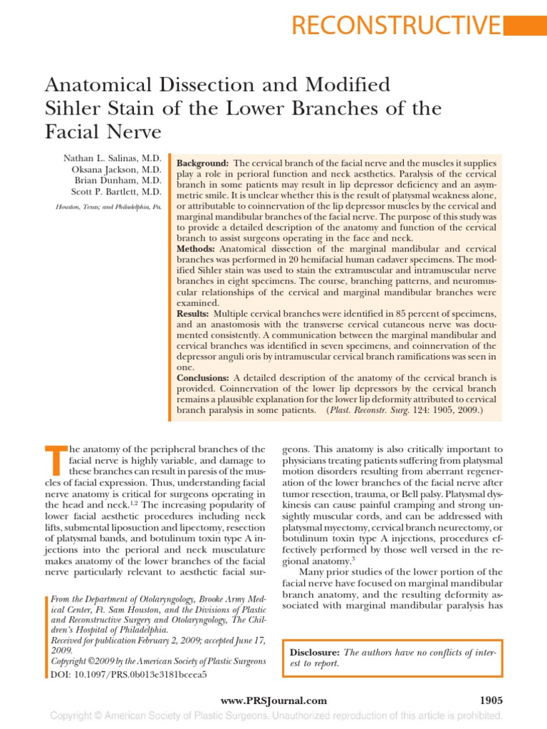 Sihler Stain Facial Nerve | PDF | Neck | Lip