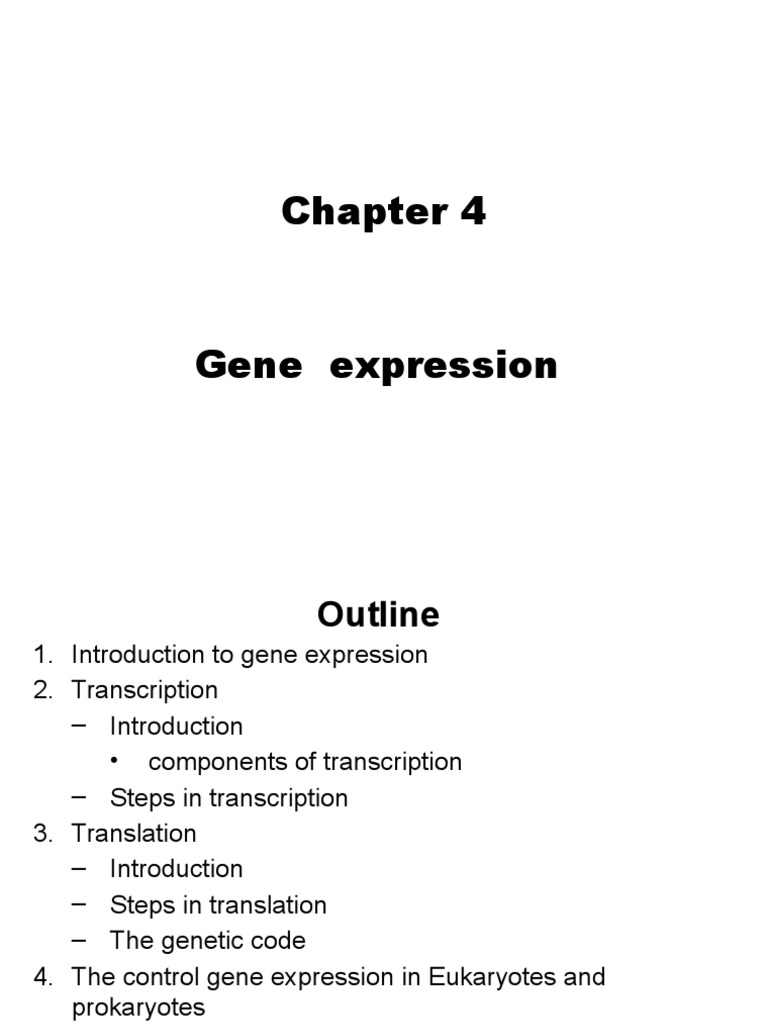 Chapter 4 | PDF | Translation (Biology) | Operon