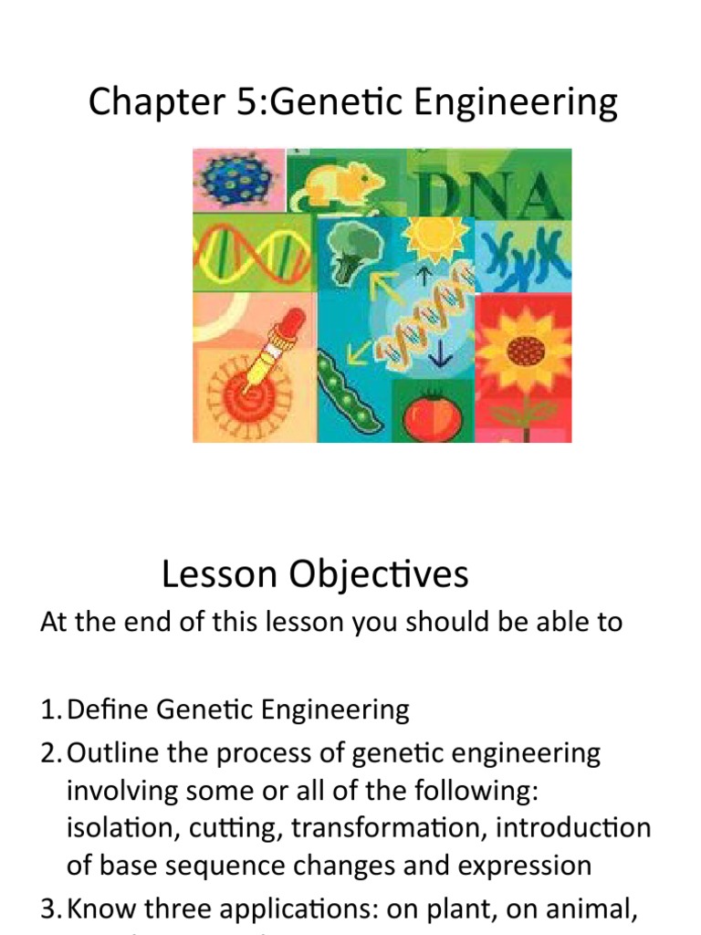Chapter 9 Genetic Engineering | PDF | Genetic Engineering | Genetics