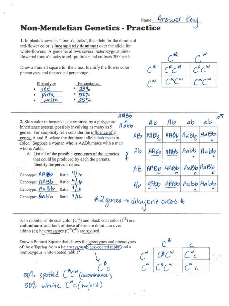 Non Mendelian Genetics Answer Key | PDF