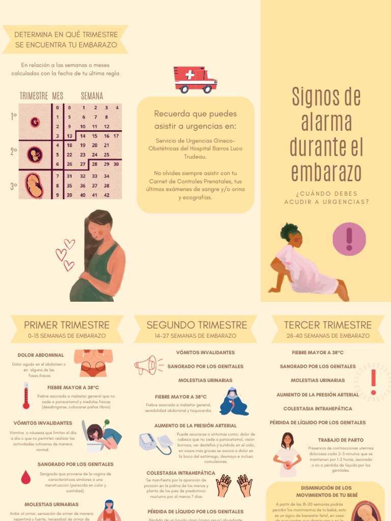Signos de Alarma | PDF | El embarazo | Parto