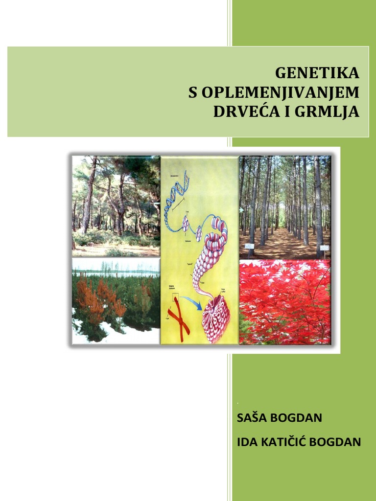 SKRIPTA - GODG - Bogdan - Katicic Bogdan (4815) | PDF