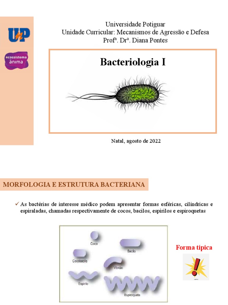 Aula 02 - MAD - Bacteriologia I | PDF | Bactérias | Célula (Biologia)