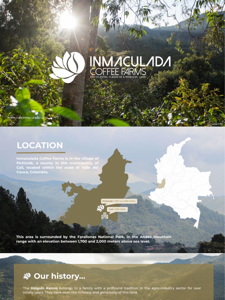 Inmaculada Coffee Farms Info | PDF | Coffee | Taste