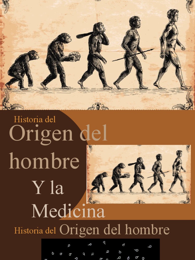El Origen Del Ser Humano | PDF | Seleccion natural | Evolución