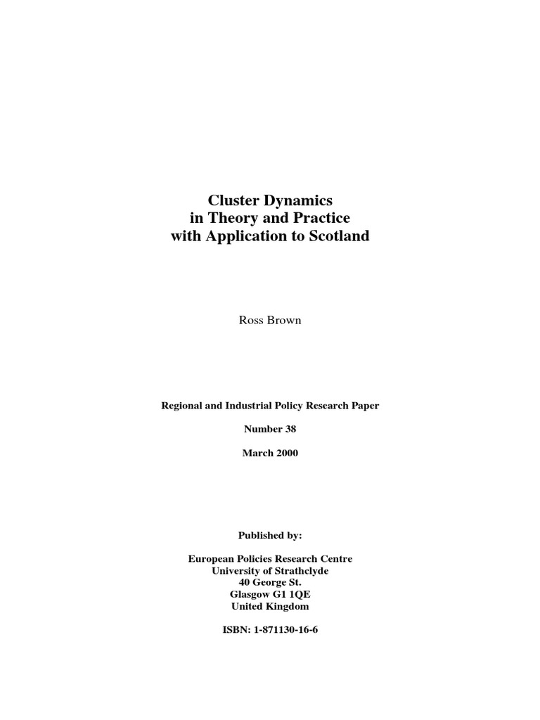 Cluster Dynamics In Theory And Practice Pdf Policy Governance