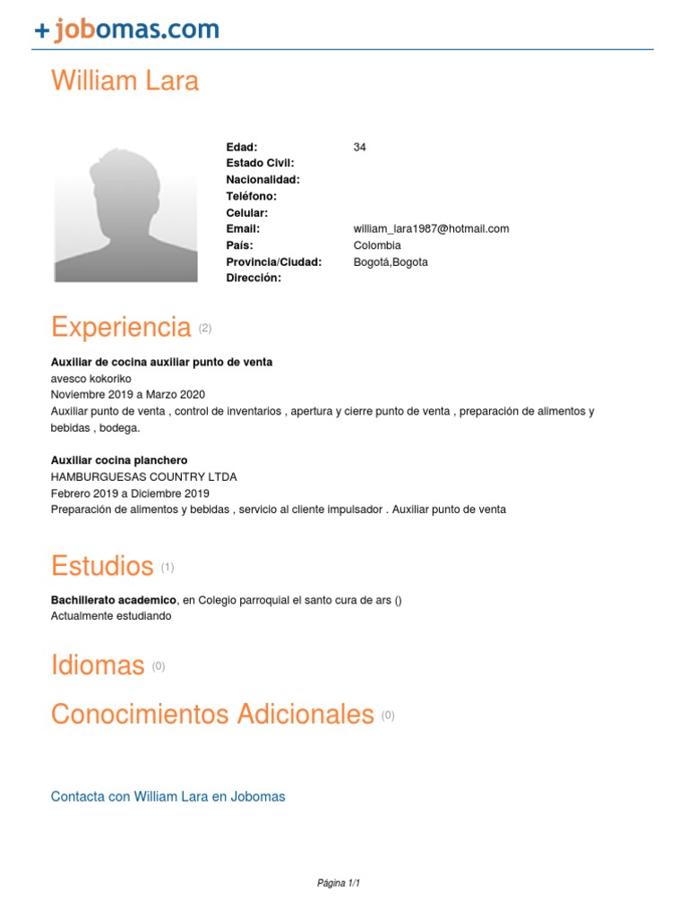 CV William Lara | PDF