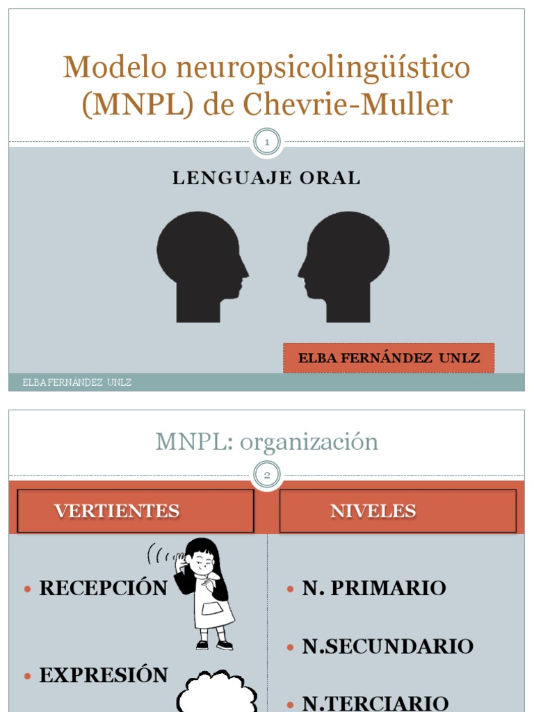 Modelo Neuropsicolingüístico (MNPL) de Chevrie-Muller Class Est | PDF ...